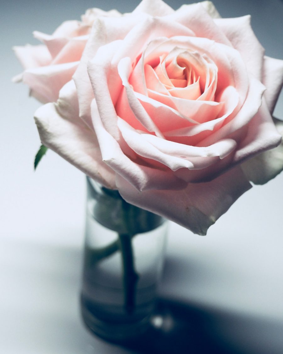 Beauté : Le pouvoir de la rose - Les Radieuses Magazine
