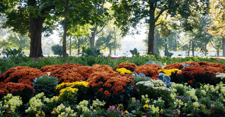 Un jardin d’automne tout en couleur! - Les Radieuses