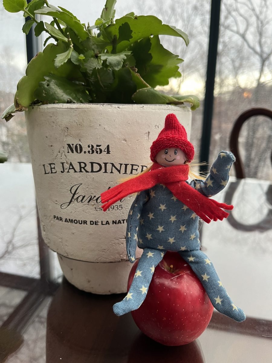 Tranche de vie : Le cadeau de Zipette - Les Radieuses Magazine